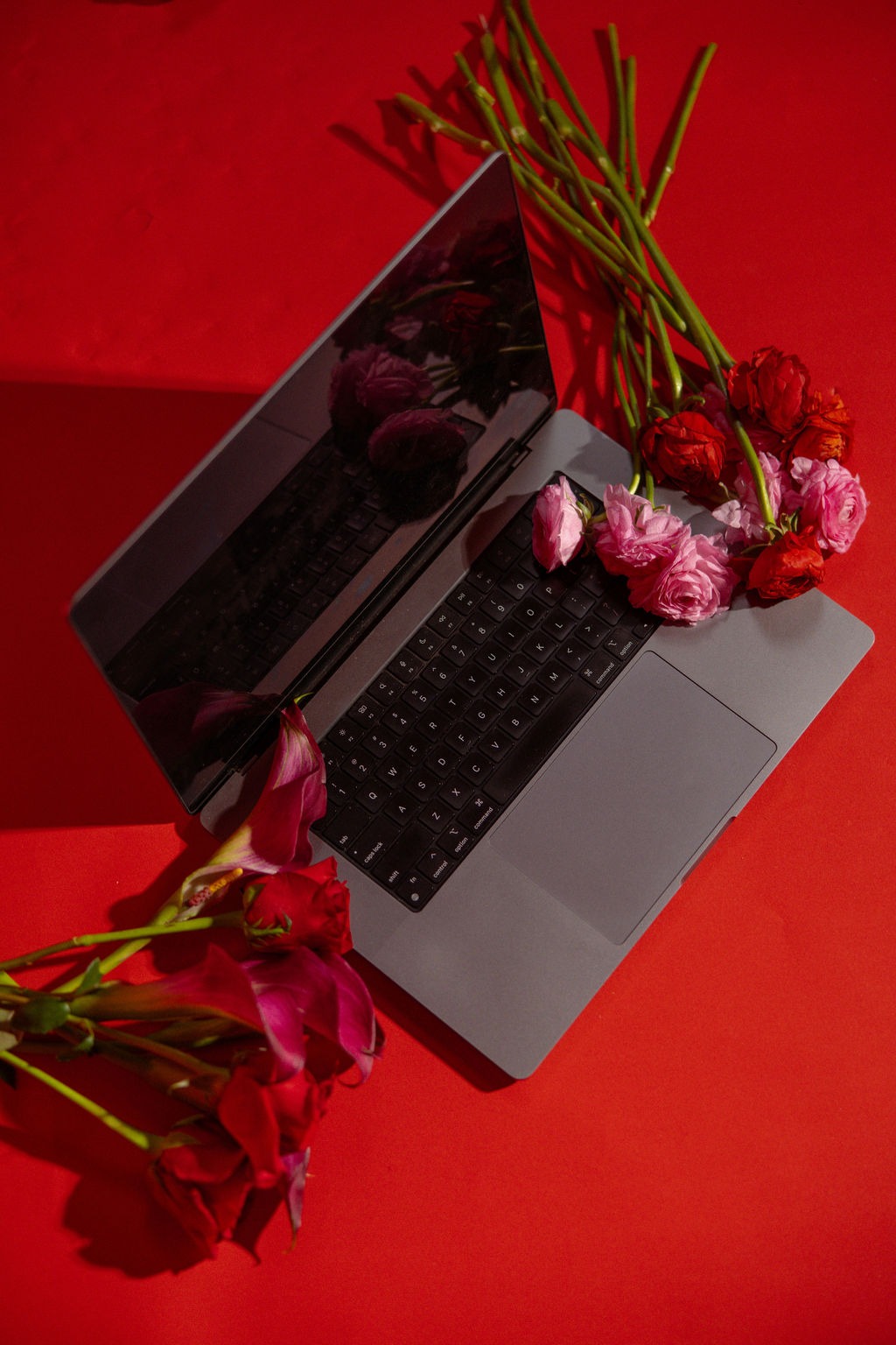 Design The Bloom Bar to Scale Your Business | Brand & Bloom