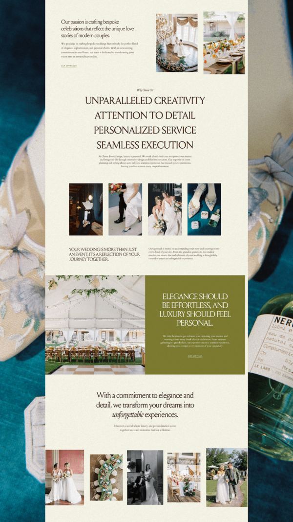 Winning at Wordpress | Wordpress Course | Learn Wordpress | Brand & Bloom