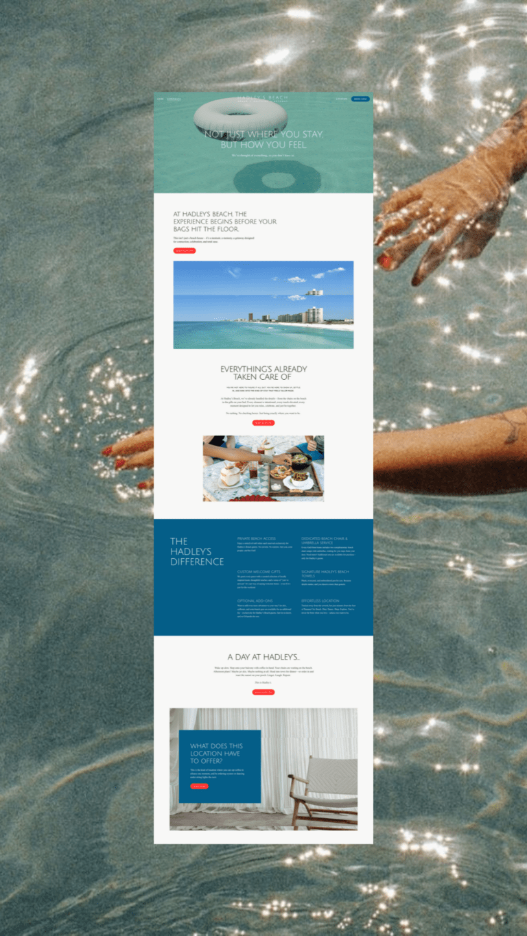 Winning at Wordpress | Wordpress Course | Learn Wordpress | Brand & Bloom